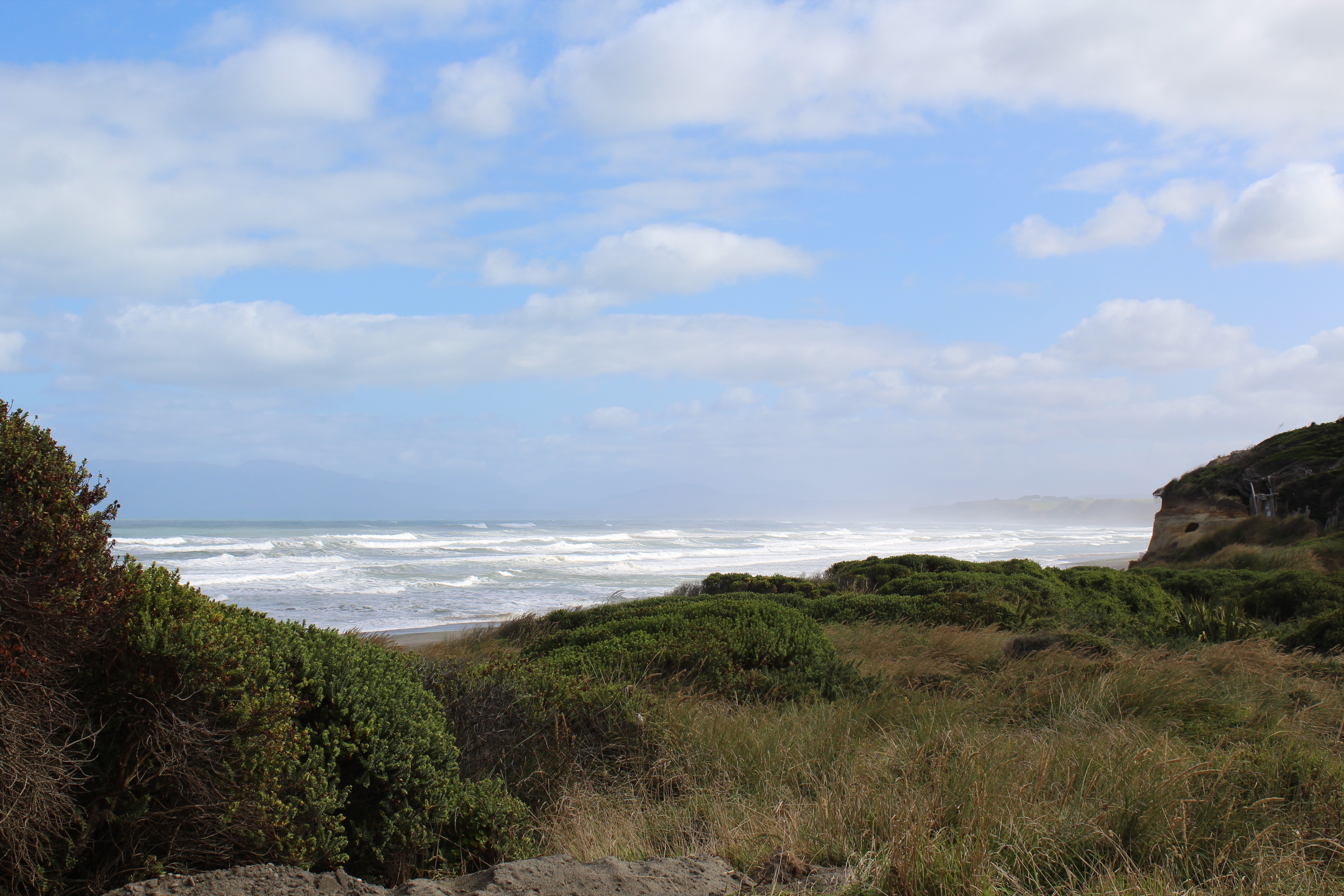 Day trip to Bluff