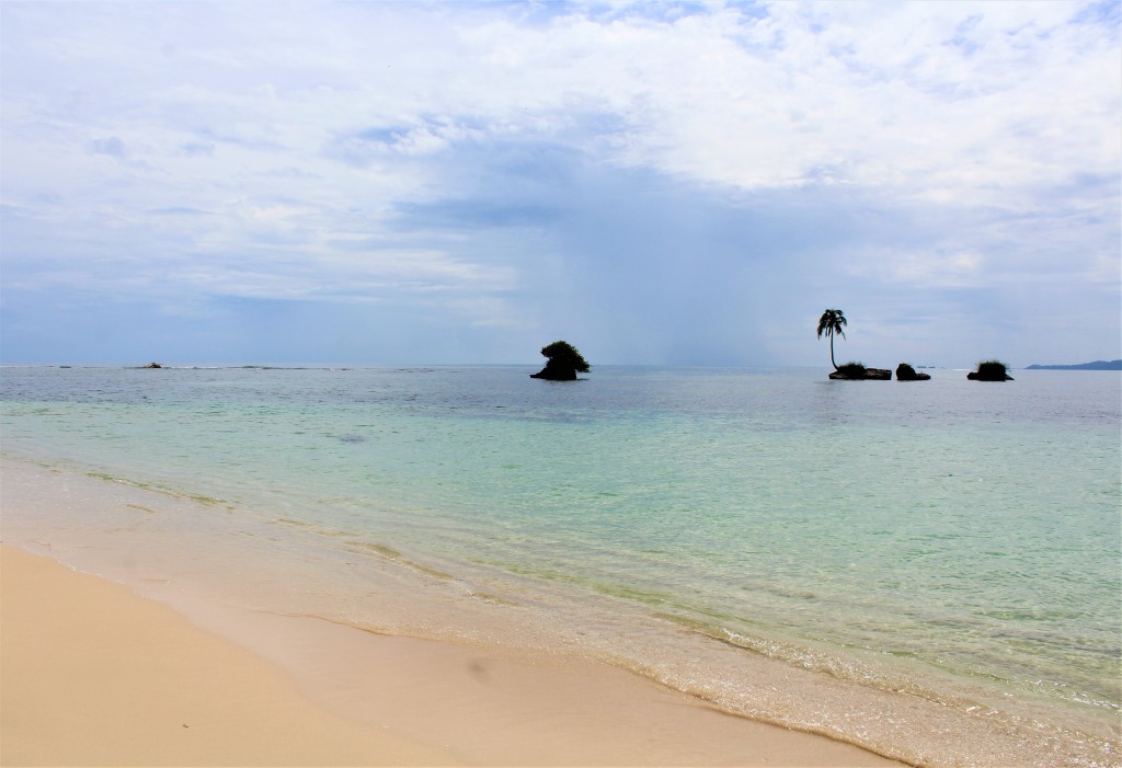 Day trip to Zapatilla Island(s), Sloth Island